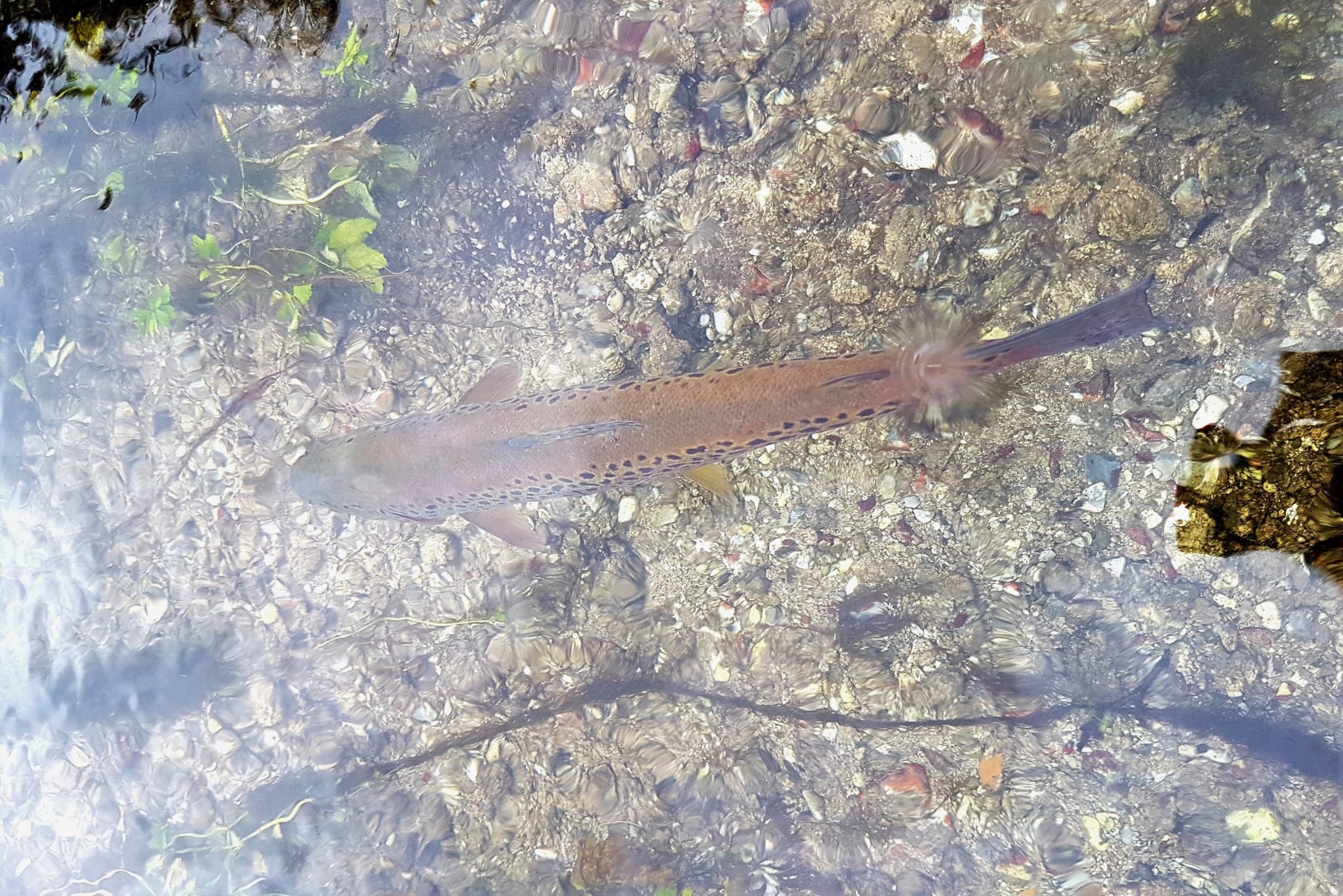 Pêcheurs et milieux : l'alchimie halieutique - So MoUCH